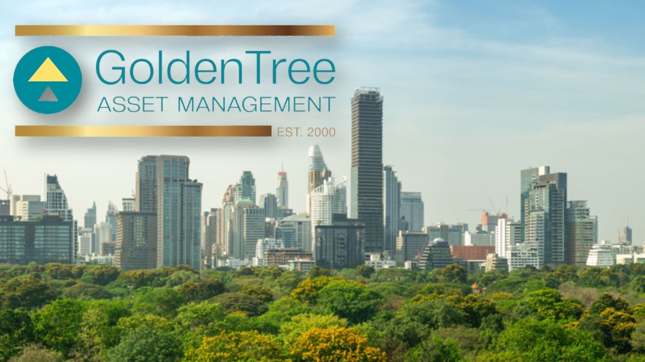 GoldenTree hires Goldman Sachs exec to bolster insurance unit ...